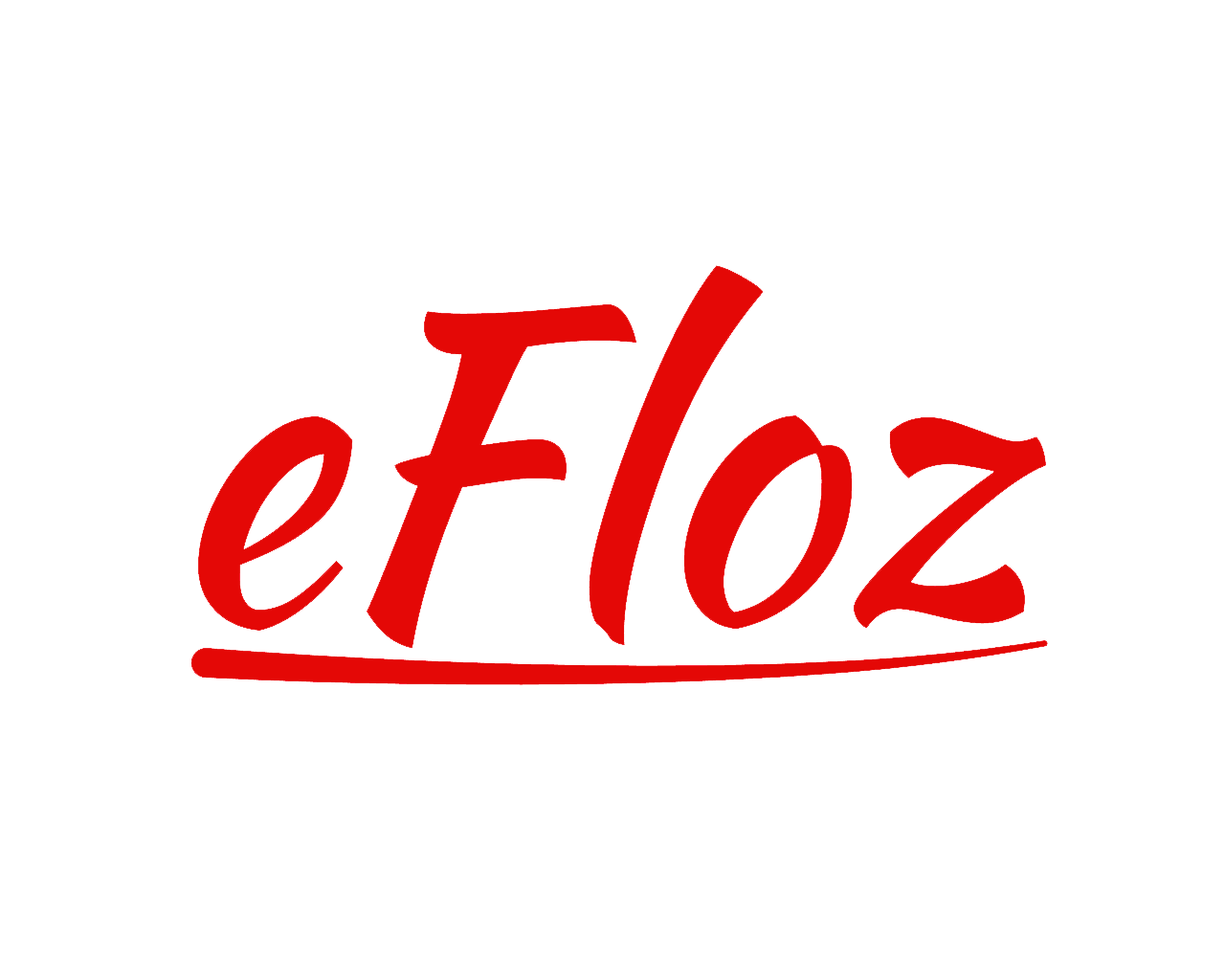eFloz IT Services